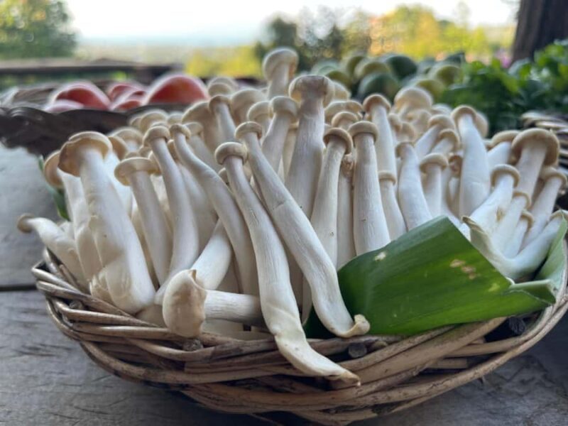 Koh Samui: Evening Thai Cooking Class with Organic Garden - Who Will Love This Experience?