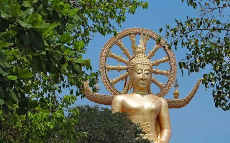 Koh Samui: Half-Day Highlights Tour with Hotel Transfers - The Experience from Reviews