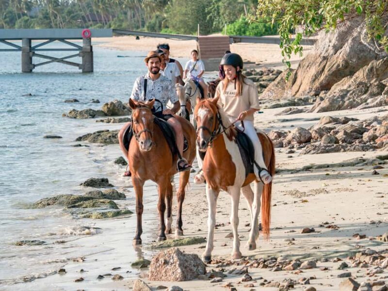 Koh Samui Horse Riding & Beach Trails - Key Points