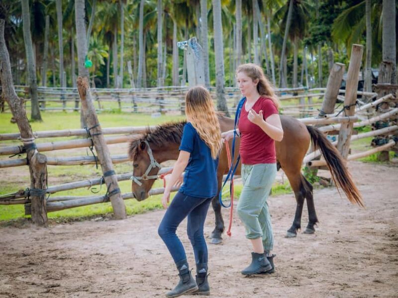 Koh Samui Horse Riding & Beach Trails - FAQ