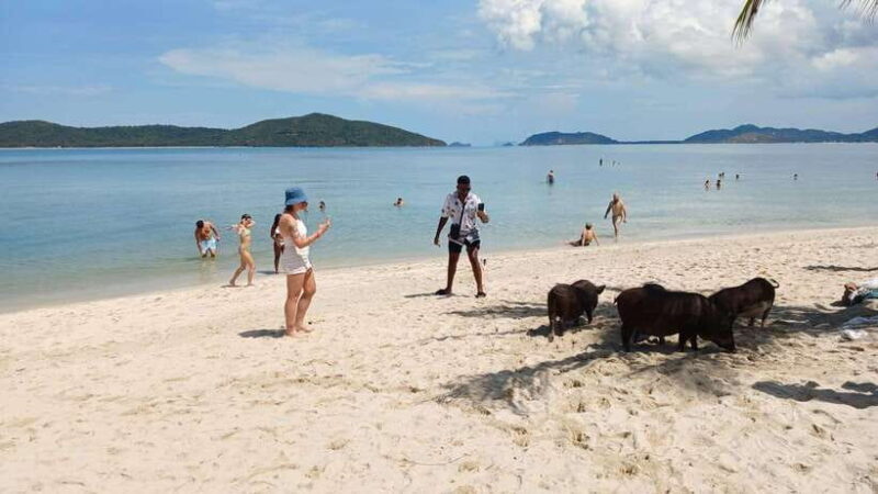 Koh Samui: Island Hopping Adventure in Coral and Pig Island - Who Is This Tour Best For?