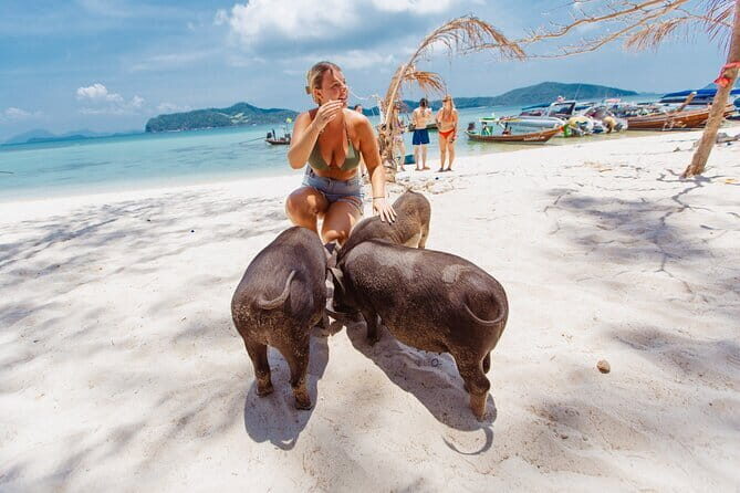 Koh Samui Island Hopping Adventure in Coral and Pig Island - What You Can Expect in Practice