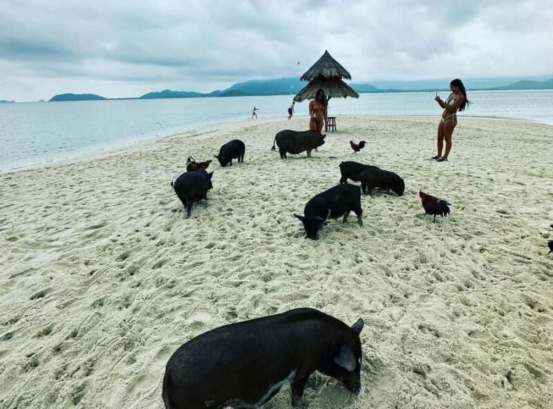 Koh Samui: Jetski Safari, Snorkeling to Pig & Virgin Islands - FAQ