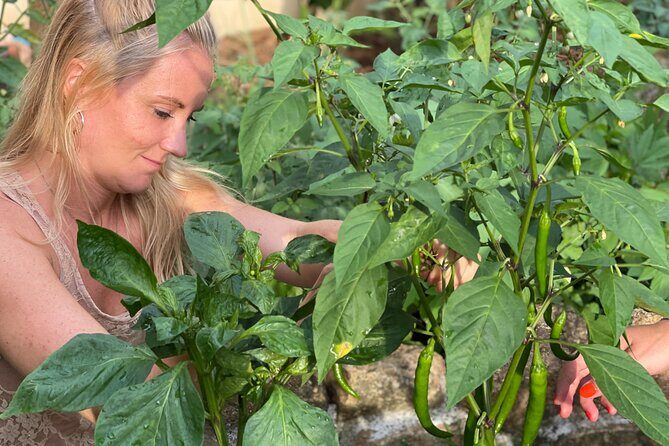 Koh Samui Jungle Kitchen - Evening Cooking Class - An Authentic Thai Cooking Experience in Koh Samui’s Jungle