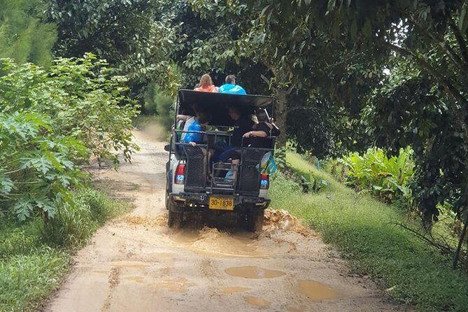 Koh Samui Jungle Safari Around The island Tour - The Sum Up: Who Will Love This Tour?