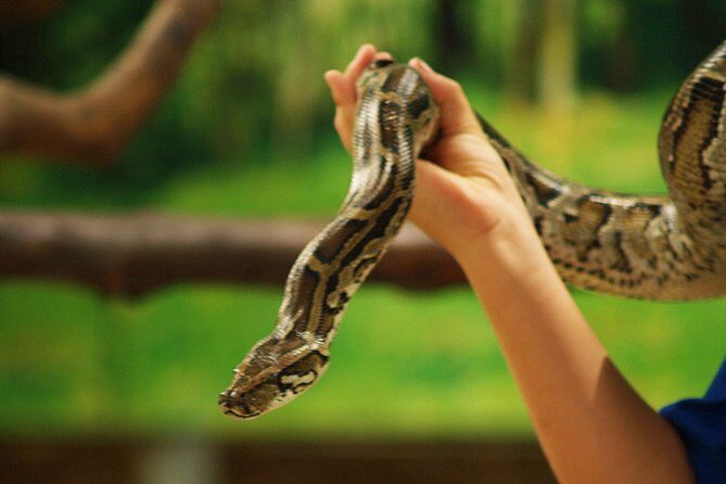 Koh Samui Jungle Safari Eco Tour (Include Lunch) - FAQ