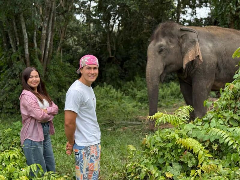 Koh Samui: Jungle Safari Jeep Tour with Elephants Sanctuary - Key Points