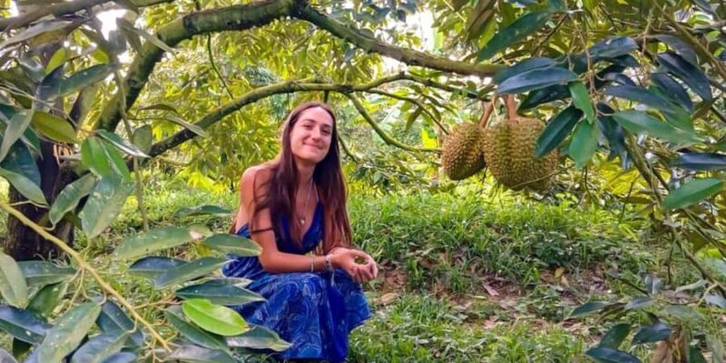 Koh Samui: Jungle Safari Tour Off-Road with Lunch and Guide - Final Thoughts: Is It Worth It?