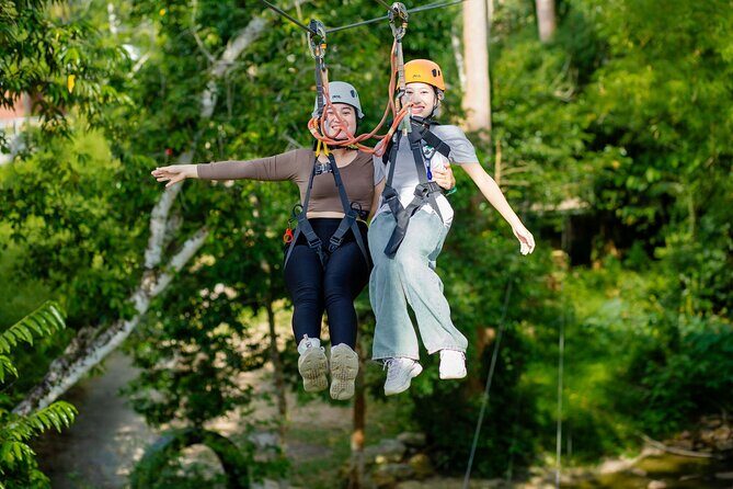 Koh Samui Jungle Zipline Adventure (16 Platforms) - Practical Details and Tips