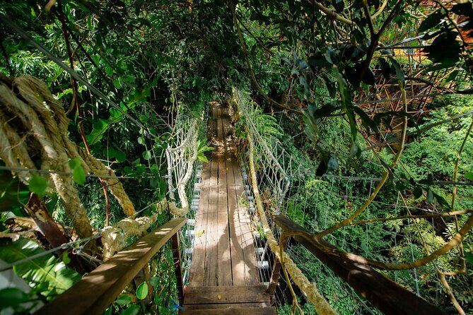 Koh Samui Jungle Zipline and Cafe with Waterfall Views - FAQs