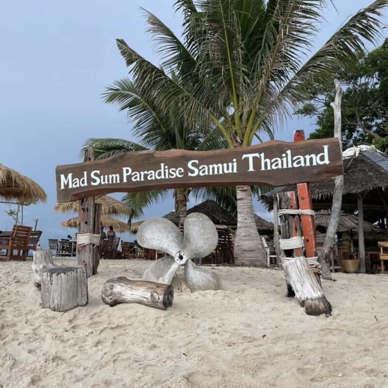 Koh Samui: Koh Madsum & Koh Tan Speed Catamaran Tour - Who Will Love This Tour?