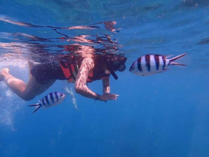 Koh Samui: Koh Tao & Koh Nang Yuan Snorkel Trip with Lunch - The Sum Up: Is This Tour a Good Choice?