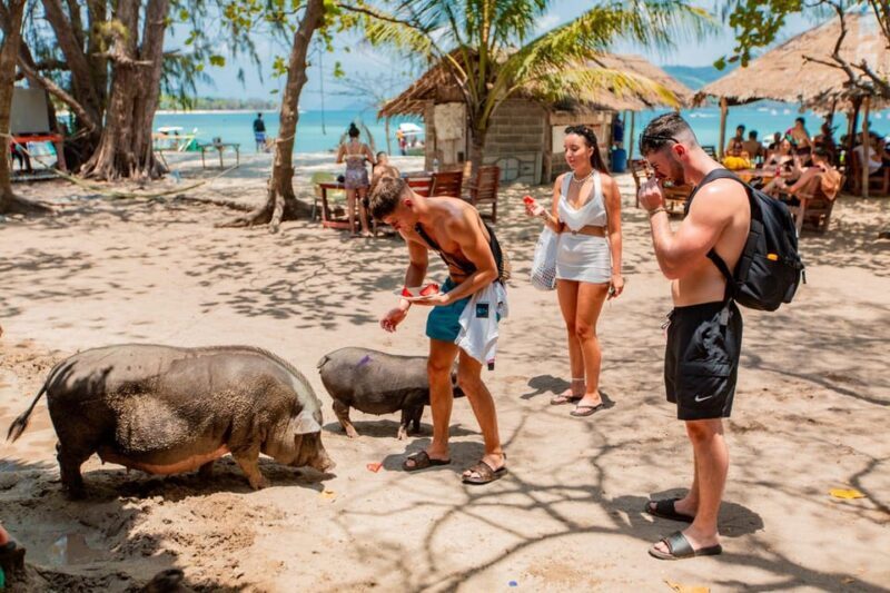 Koh Samui: Pig Island Day Tour by Speedboat - Final Thoughts: Is This Tour Worth It?