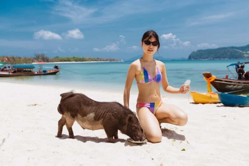 Koh Samui: Pig Island Private Longtail Boat Tour - Key Points