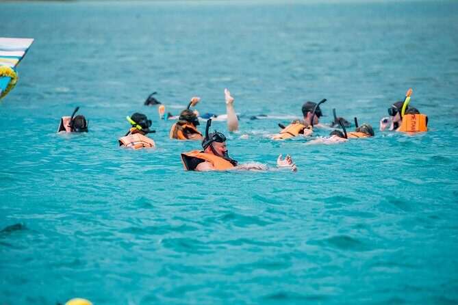 Koh Samui Pig Island Snorkeling by Private Longtail Boat - The Sum Up: A Genuine Day on the Water