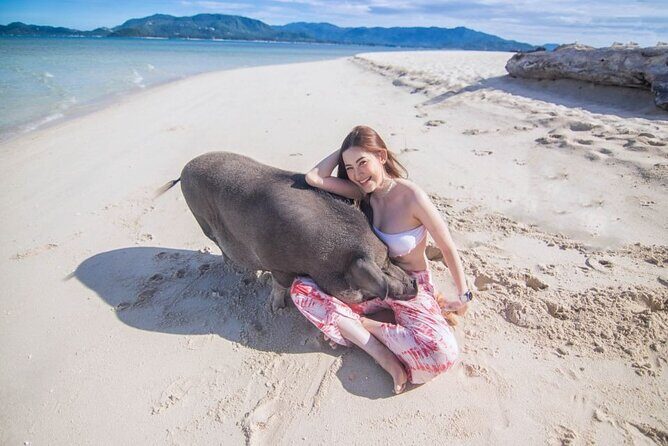 Koh Samui Pig Island Tour by Speedboat with Snorkeling - Key Points