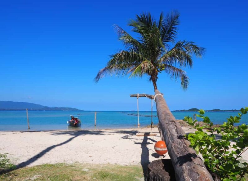 Koh Samui: Private Island Hopping Boat Tour - What the Reviews Say