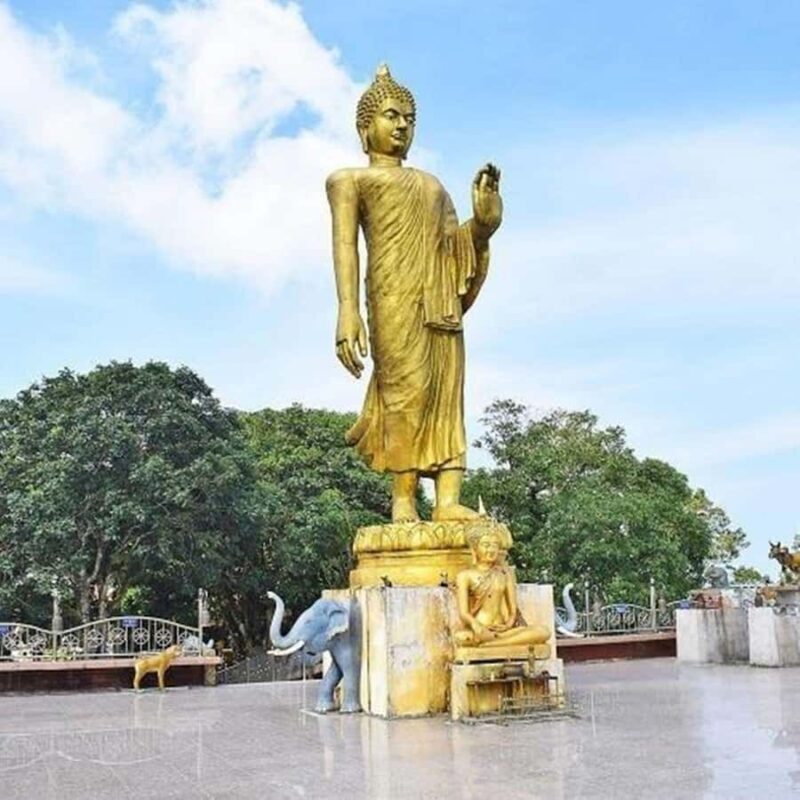 Koh Samui: Private Jungle Safari Tour with Lunch - What Makes This Tour Stand Out?