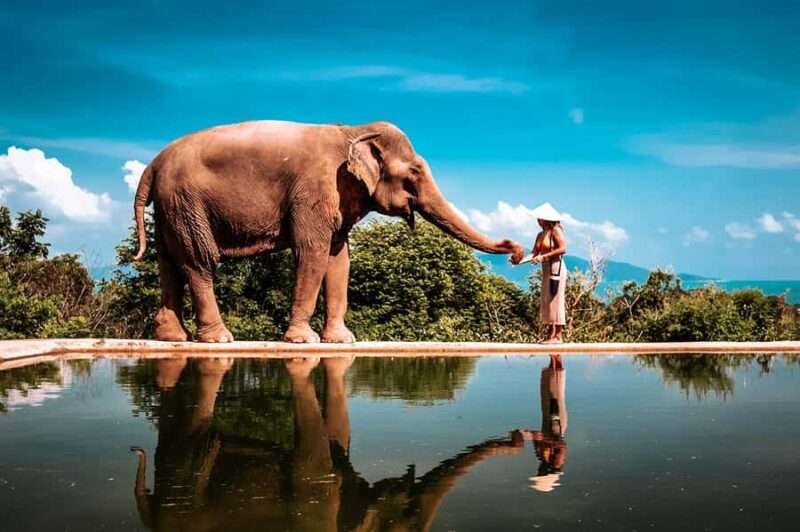 Koh Samui: Private Photoshoot for Couples & Families - Key Points