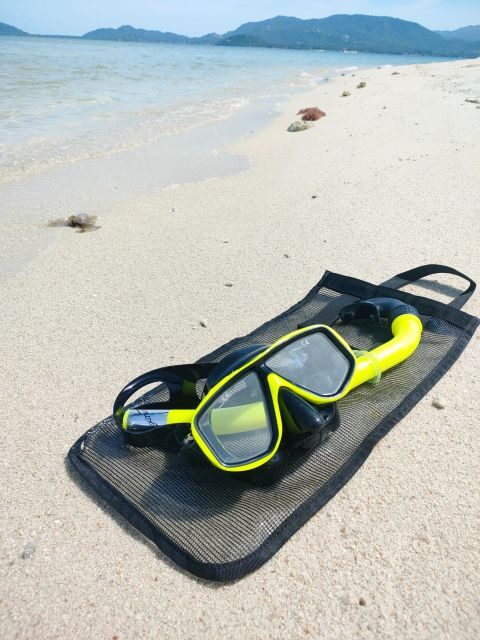 Koh Samui: Private Pig Island & Snorkeling Trip by Speedboat - The Value Proposition