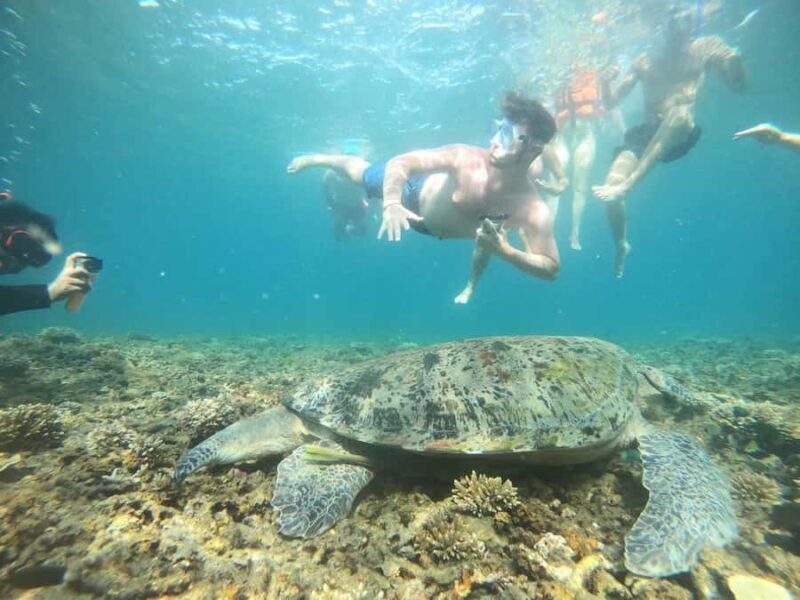 Koh Samui: Private Speedboat Charter  Custom Island Routes - Who Should Consider This Tour?