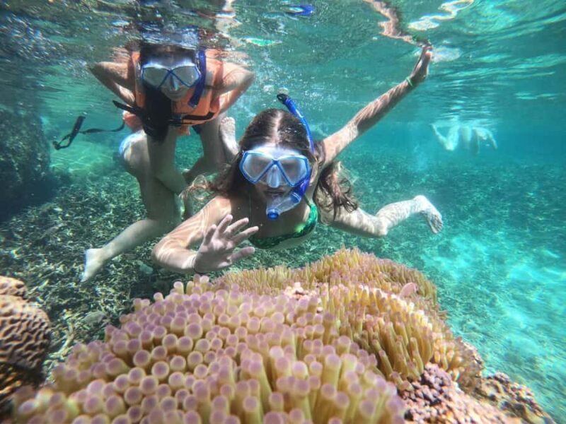 Koh Samui: Private Speedboat Charter  Custom Island Routes - The Sum Up