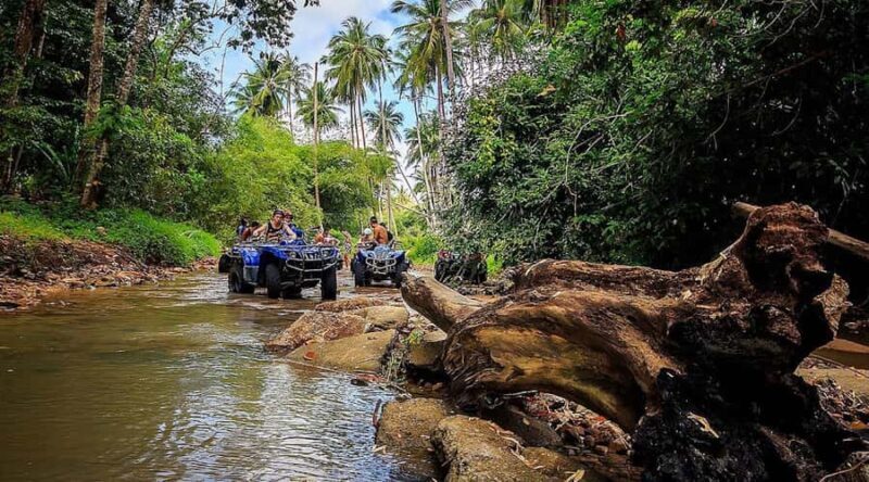Koh Samui: Quad Bike Safari Tour - Jungle & Waterfall - What the Reviews Say