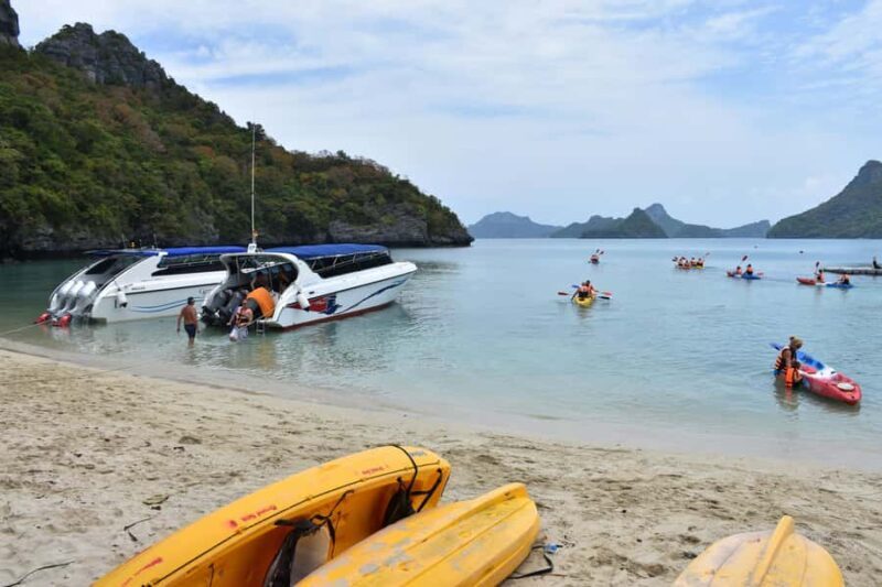 Koh Samui: Speedboat Adventure to Angthong's Hidden Gems - Who Will Love This Tour?