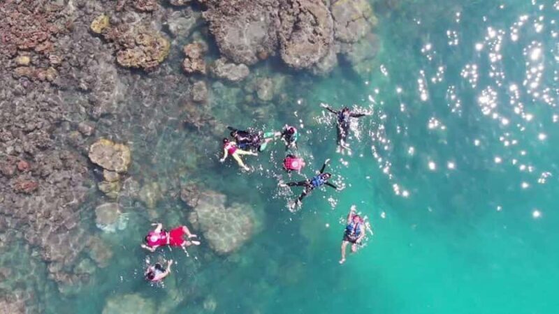 Koh Samui: Sunset Pig Island and Snorkeling Koh Tan w/Dinner - Transportation and Practical Details