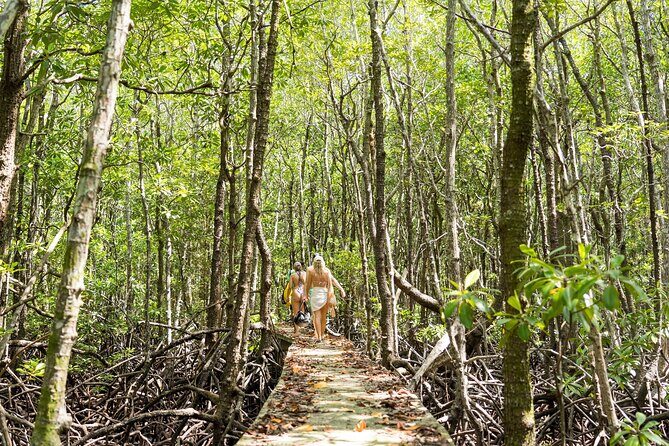 Koh Tan and Pig Island Tour with Sunset Cruise - FAQs