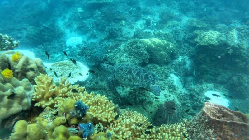 Koh Tao: Advance Open Water Diver 2 Days Course - The Sum Up