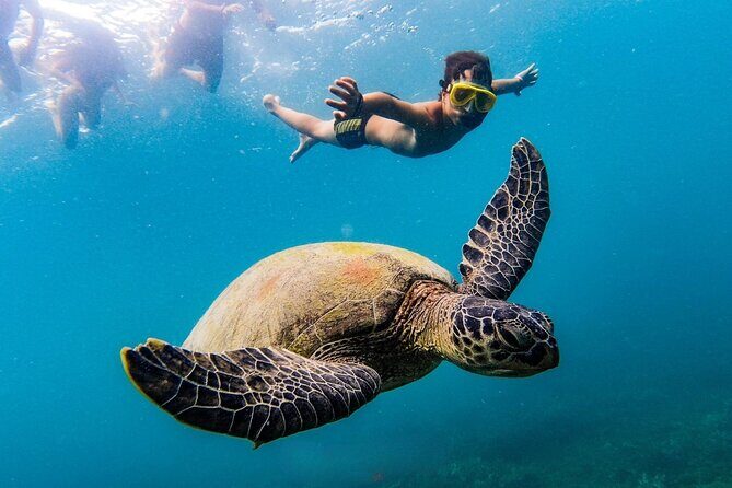 Koh Tao and Koh Nang Yuan Snorkeling Trip - The Colorful Depths of Ao Leuk