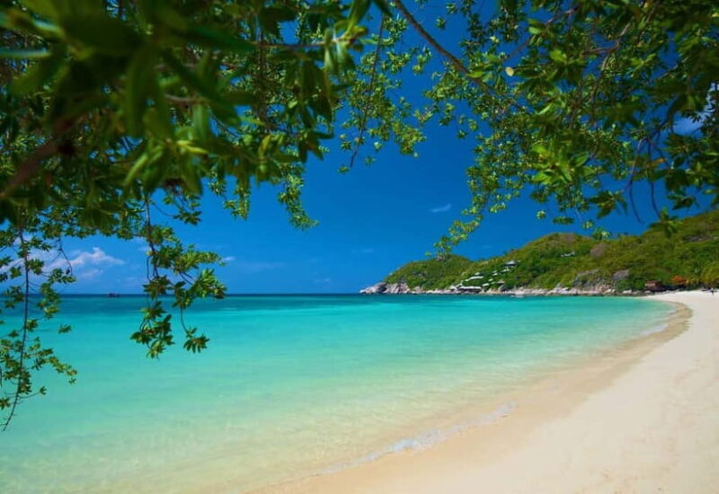 Koh Tao: First Light Snorkel Adventure with Oxygen Tours - An In-Depth Look at the Koh Tao Snorkel Trip