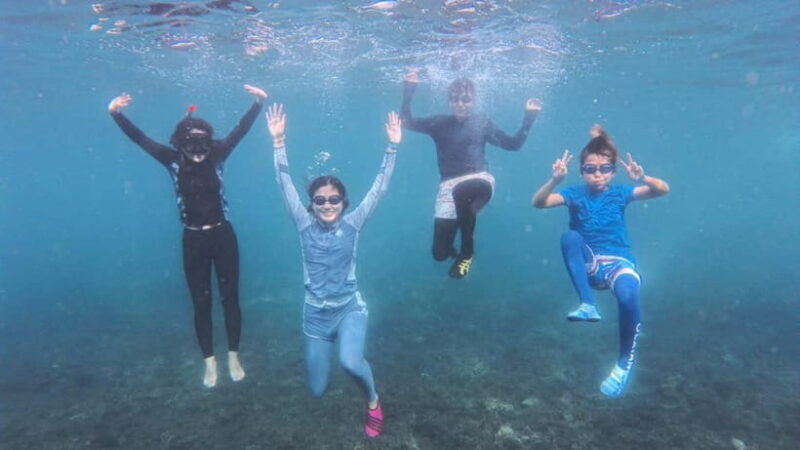 Koh Tao: First Light Snorkel Adventure with Oxygen Tours - Who Will Love This Tour?