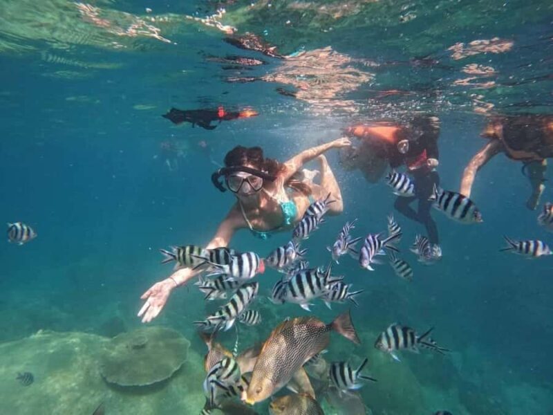 Koh Tao: Full-Day Snorkeling Tour with Lunch & Hotel Pick-up - Discovering Koh Tao: A Snorkeler’s Dream