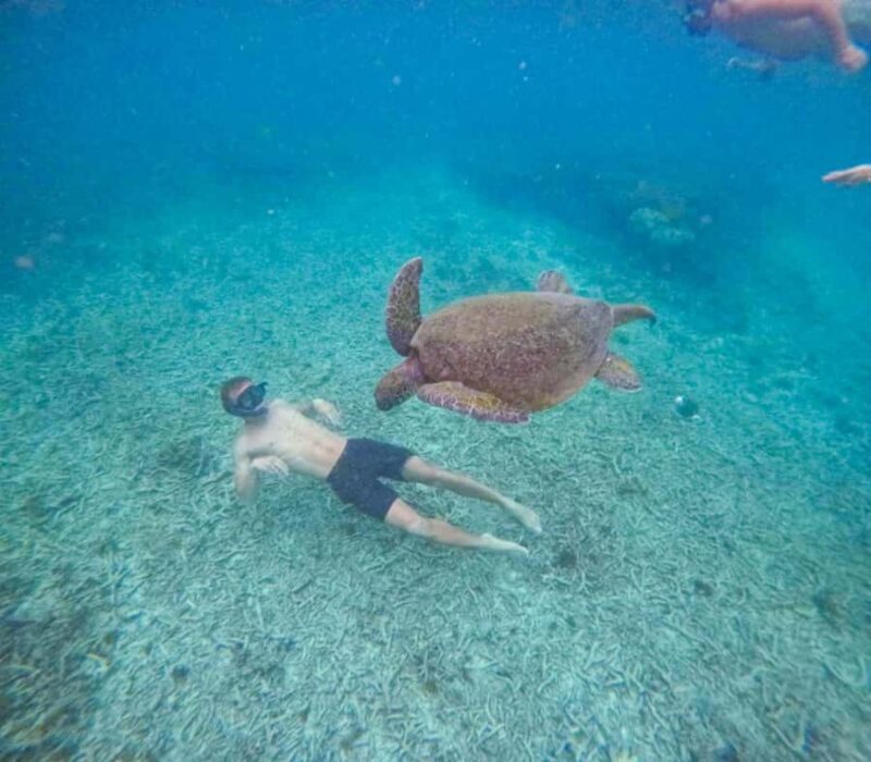 Koh Tao: Full-Day Snorkeling Tour with Lunch & Hotel Pick-up - Authentic Experiences and Guest Feedback