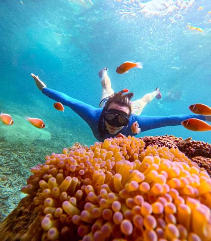 Koh Tao: Half-Day Sunset Snorkeling Tour with Lunch & Pickup - Who Will Love This Experience?