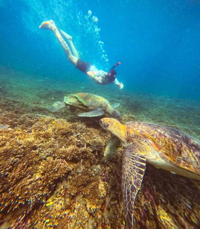 Koh Tao: Half-Day Sunset Snorkeling Tour with Lunch & Pickup - FAQs