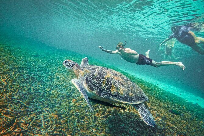 Koh Tao, Koh Nangyuan and Hidden Bays Snorkeling with Lunch - Key Points