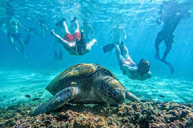 Koh Tao, Koh Nangyuan and Hidden Bays Snorkeling with Lunch - Introduction: A Snorkeler’s Dream or Just a Good Deal?