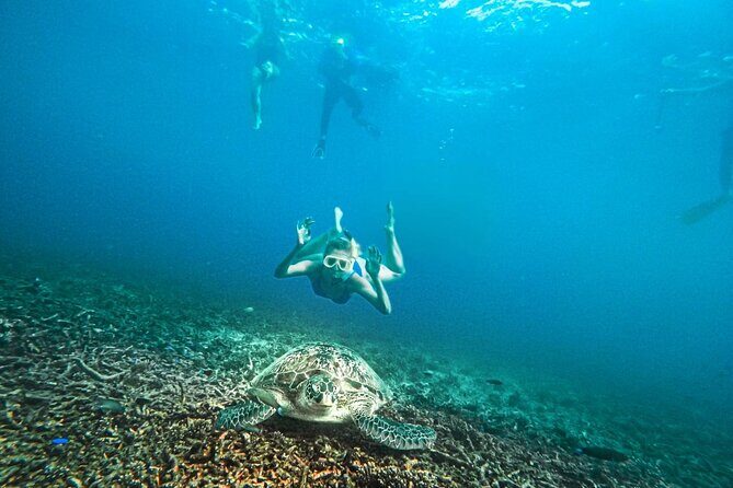 Koh Tao, Koh Nangyuan and Hidden Bays Snorkeling with Lunch - Final Thoughts: Is It Worth It?