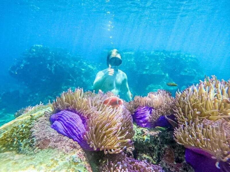 Koh Tao: Koh Nangyuan & Hidden Bays Snorkeling Tour w/ Lunch - Key Points