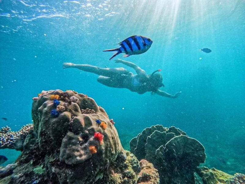 Koh Tao: Koh Nangyuan & Hidden Bays Snorkeling Tour w/ Lunch - Introduction: A Snorkeler’s Dream on Koh Tao