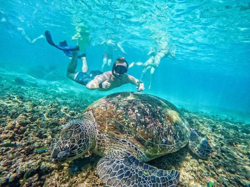 Koh Tao: Koh Nangyuan & Hidden Bays Snorkeling Tour w/ Lunch - Breaking Down the Itinerary