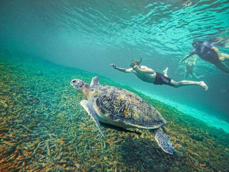 Koh Tao: Koh Nangyuan & Hidden Bays Snorkeling Tour w/ Lunch - The Experience and Why It Stands Out