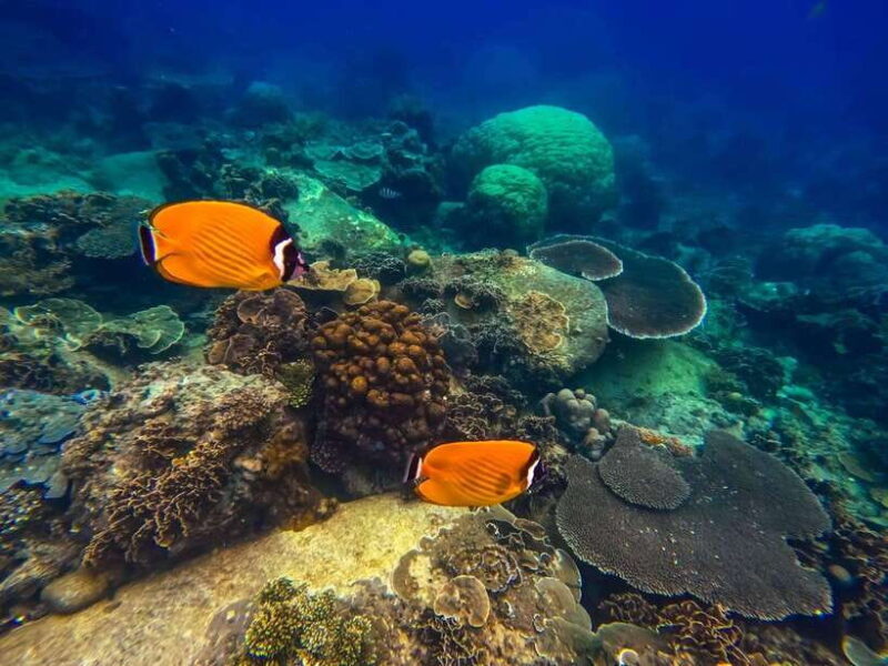 Koh Tao: Koh Nangyuan & Hidden Bays Snorkeling Tour w/ Lunch - Final Thoughts: Is It Worth It?