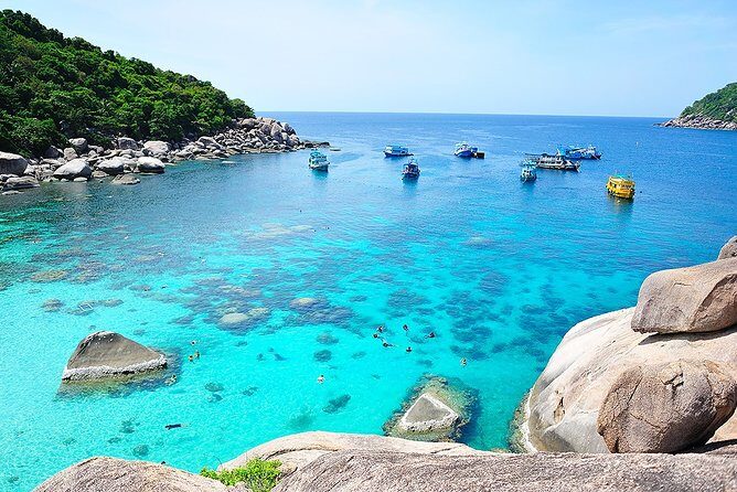Koh Tao & Koh Nangyuan Snorkeling Trip By Speedboat From Koh Phangan - Key Points