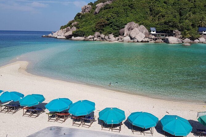 Koh Tao & Koh Nangyuan Snorkeling Trip By Speedboat From Koh Phangan - Who Would Appreciate This Tour?
