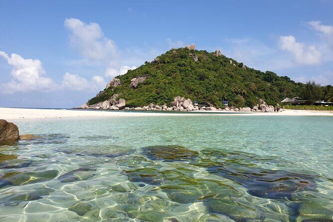 Koh Tao & Koh Nangyuan Snorkeling Trip By Speedboat From Koh Phangan - Final Thoughts