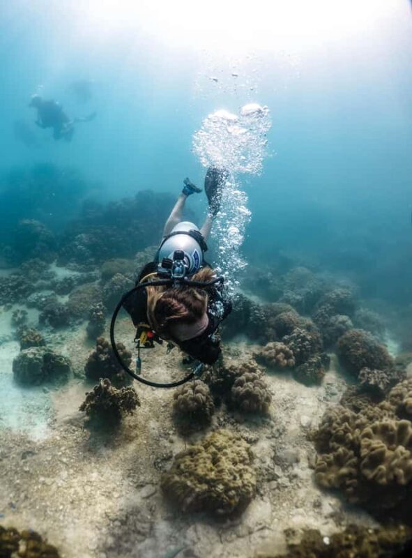 Koh Tao: PADI Premium Open Water Diver Course (2.5 Days) - Practical Tips for Future Participants